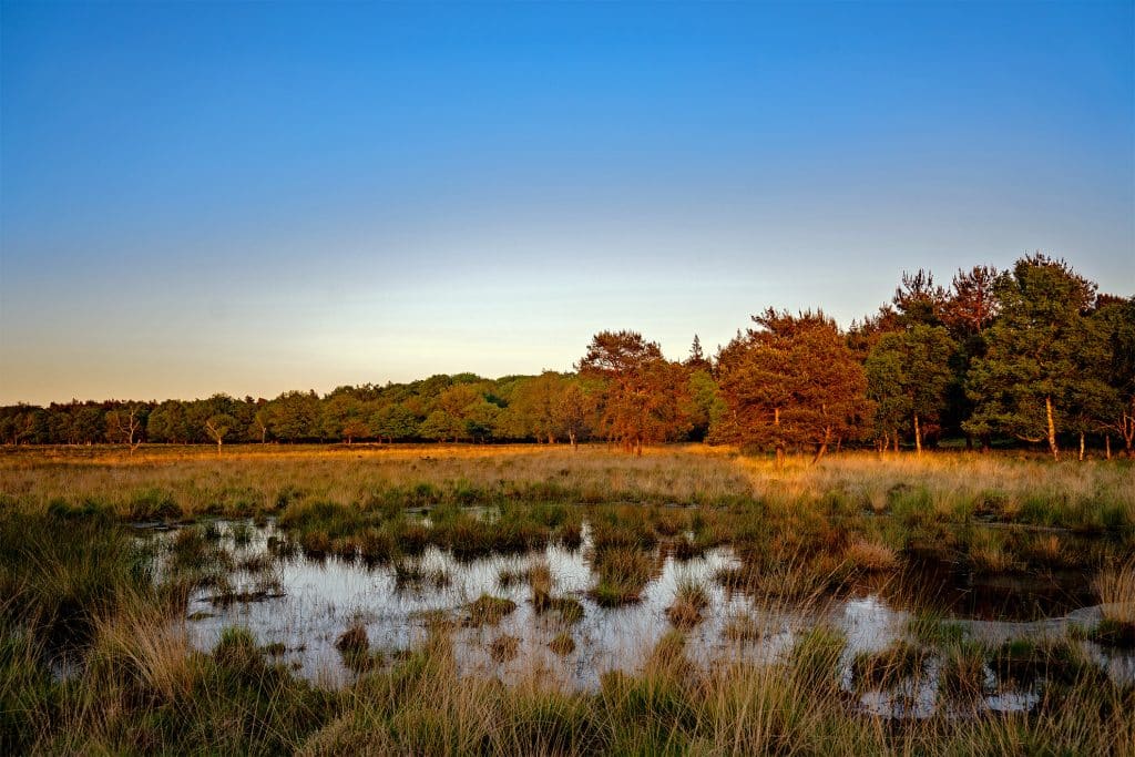 In Adellijke Voetsporen met Jort Kelder – Shary